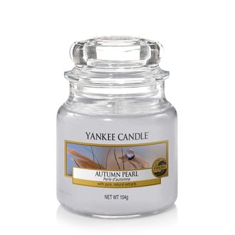 Yankee Candle Company Autumn Pearl Kerze, Glass, SZARY, S