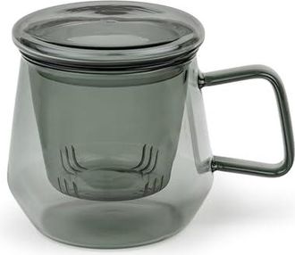 Bredemeijer Teeglas 350 ml mit Glas-Teefilter & Glasdeckel - einwandige transparent-schwarze Tea for One Glas-Teetasse für 1 Tasse losen Tee