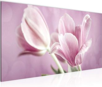 Runa Art Wandbild Blumen Tulpen 1 Teilig 100 x 40 cm Modern Bild auf Vlies Leinwand Blumen Wohnzimmer Rosa Violett 037312a
