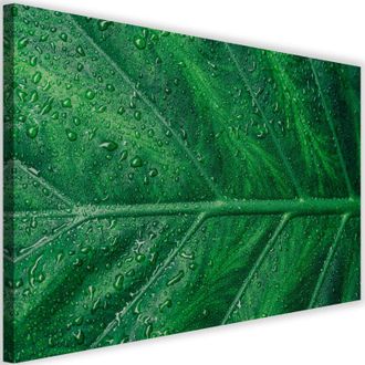 Feeby Leinwandbild XXL Bl&auml;tter Wandbild Kunst Wassertropfen Natur Gr&uuml;n 115x75 cm