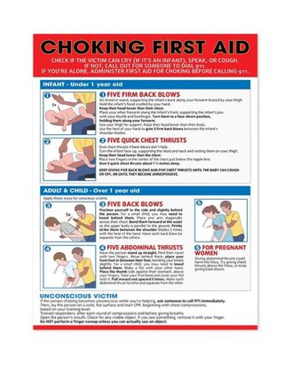Generic Minimalist Choking Aid Wall Chart - Easy Visual Guide to the Heimlich Maneuver & Back Blows, Durable Poster for Workplace, Home, School Safety Complia