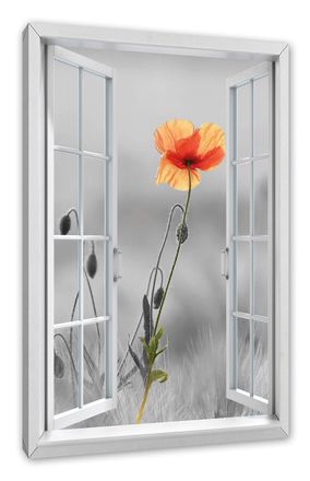 Pixxprint Rote Mohnblume im Feld, Fenster, Gr&ouml;&szlig;e: 60x40cm, Leinwandbild, fertig gespannt, Wandbild, Dekoration, Kunstdruck, kein Poster