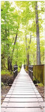 Wallario Poster - Spaziergang im Wald Holzweg über einen Fluss in Premiumqualität, Größe: 80 x 200 cm XXL-Poster