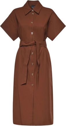 Pinko Pinko, Femme, Robes, Brun, Taille: 42 FR Alesha Dress