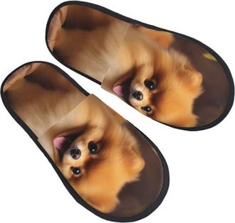 Generic Chaussons Poméranien Jaune Antidérapantes Pantoufles Doux Slippers Pour Chambre De Camping Hiver L