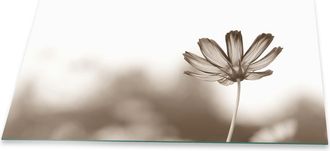 Decorwelt Herdabdeckplatte Abdeckung Ceranfeld Abdeckplatte Schneidebrett 1-Teilig 90x52 Blumen Grau Spritzschutz Glasplatte Ceranfeldabdeckung Schutz Kochplatt