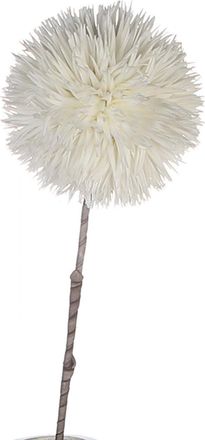 Casablanca Foam Flower - Pitopia - Weiss/grau Länge: 77cm