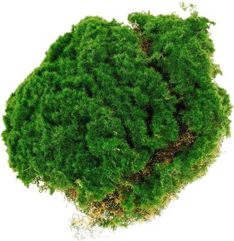 Valiclud IWOWHERO K&uuml;nstliches Moosmatte Lebensnahes Dekomoos f&uuml;r Micro Landscape DIY Garten Bonsai deko Weiches Langlebiges Sicheres Material Gr&uuml;ne Moosdecke f