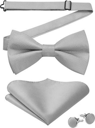 Hisdern Noeud Papillon Gris Homme Soie Noeuds Papillon avec Mouchoir de Manchette Ensemble Deja Noue Papillon Fleur pour Mariage Fete