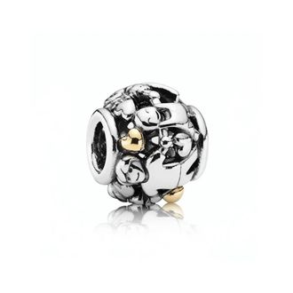 Pandora Familien-Charm aus Silber mit 14K - - Accessories - Damen - Grau - ONE SIZE