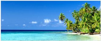 Wallario selbstklebendes Poster - Blauer Himmel weißer Strand Palmen und das tiefblaue Meer, Aufkleber in Premiumqualität, Klebefolie Größe: 50 x 125 cm