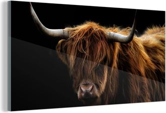 MuchoWow Glasbild Glasfoto Wandbild Bilder Deko 120x60 cm Schottischer Highlander - Hörner - Schwarz - Tiere - Natur - Wild - Kuh