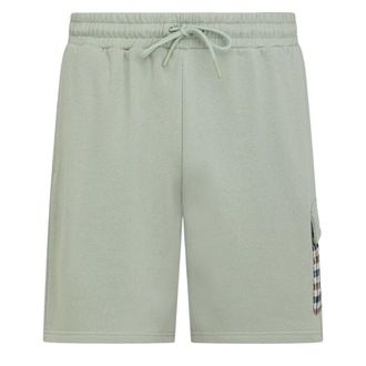 Aquascutum Active Lamina Pocket Salvia Light Green Shorts