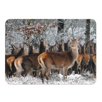 Fabulous Platzset mit Unterseite aus Kork, Hirsch in einem schneebedeckten Wald, gro&szlig;, 39,5 x 28,5 cm