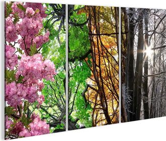 Islandburner Bild Bilder auf Leinwand Vier Jahreszeiten Wandbild, Poster, Leinwandbild KDW