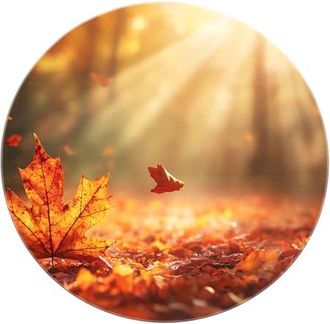 Generic Tapis th&egrave;me Nature Feuilles mortes for&ecirc;ts d&eacute;rables Rouges Soleil dAutomne Tapis Circulaire Lavable en Machine pour Salon Chambre &agrave; Coucher Bureau &agrave; Do