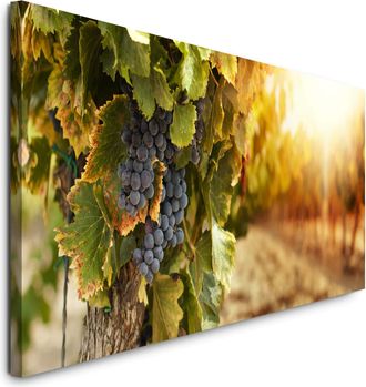 Paul Sinus Art GmbH Weinberg im Sonnenuntergang 120x 50cm Panorama Leinwand Bild XXL Format Wandbilder Wohnzimmer Wohnung Deko Kunstdrucke