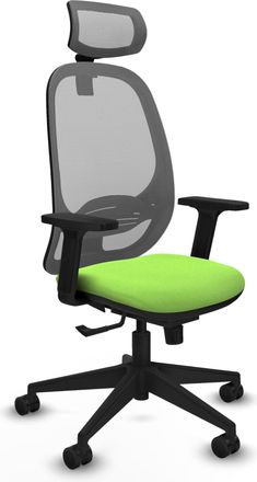 Piqueras y Crespo Ergonomischer Stuhl mit 2D-Armen, h&ouml;henverstellbare Lendenwirbelst&uuml;tze und Kopfteil, h&ouml;henverstellbar und neigbar, Grau/Pistazie