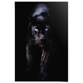 Reinders Poster, Black Panther, Schlafzimmer, Poster, Wanddeko, Room Decor, 150 gr. glänzend Bilderdruckpapier, Schwarz, 91,5x61cm