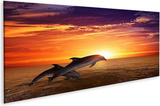 Islandburner Bild auf Leinwand Delfine Im Sonnenuntergang Über Dem Ozean Bilder Wandbilder 120x40cm