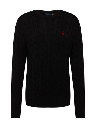Polo Ralph Lauren Pullover Driver