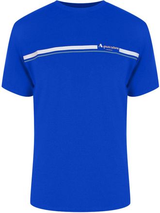 Aquascutum Active Cotton Stripes Royal Blue T-shirt
