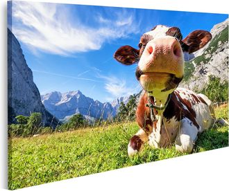 Islandburner Bild auf Leinwand Kühe Auf Das Karwendelgebirge In Österreich Wandbild Poster Kunstdruck Bilder