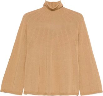 Max Mara pull côtelé à col roulé - Marron