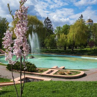 Wallario Glasplatte, Schutzplatte 55 x 55 cm - geeignet für IKEA Lack Tisch, für Beistelltisch/Couchtisch, Frühling im Stadtpark