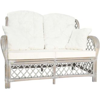 vidaXL Vidaxl - Canapé à 2 places Gris Rotin