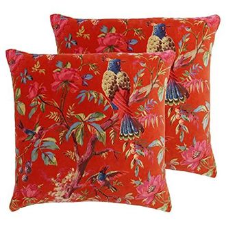 Riva Paoletti Paradise Feder gefüllte Kissen (Twin Pack), Baumwolle, Orange, 50 x 50cm, 2