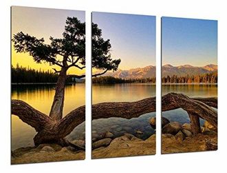 Cuadros Cámara Gemälde Kamera Poster Foto mehrfarbig 97 x 62 cm