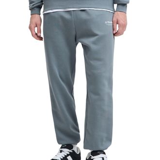 Jack & Jones Male Jogginghose Relaxed Fit Jogginghose