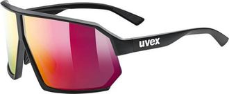 Uvex Herren Brille sportstyle 237
