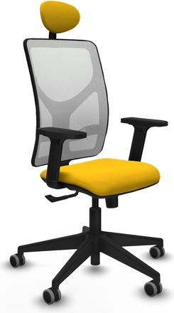 Piqueras y Crespo Armlehnenstuhl, h&ouml;henverstellbare Lendenwirbelst&uuml;tze und festes Kopfteil, ausgestattet mit 3 Positionen und Schneideschaum, mit Rollen von 65 mm, Park