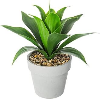 Atmosphera Atmosphera - Aloe Vera Artificiel H34 cm