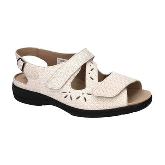 Solidus Damen, Schuhe, Braun, 40 1/2 EUGr&ouml;&szlig;e
