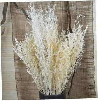 Zonfer 1pc Getrocknete K&uuml;nstliches Gras, Nat&uuml;rliche Getrocknete Blumen F&uuml;r Vasen, Wei&szlig;e Blumenstrau&szlig; Dekoration Schlafzimmer Wohnzimmer Balkon Hochzeit Photo