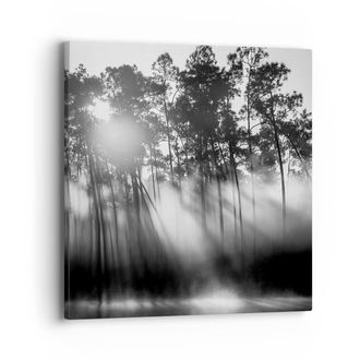 Arttor Bilder auf Leinwand 40x40cm Leinwandbild mit Rahmen Wald Kiefer Sonne Klein Wanddeko Bild Schlafzimmer K&uuml;che Deko Wandbilder Dekoration Wohnzimmer Wal