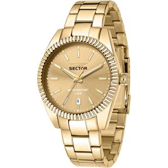 Sector Montre en acier