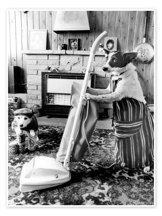 Posterlounge Jack Russell beim Staubsaugen Poster von John Drysdale 13 x 18 cm Schwarz-Wei&szlig; Wandbilder Wanddeko