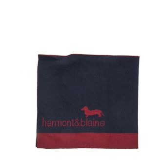 Harmont & Blaine Double-face Scarf - - Accessories - Herren - Blau - ONE SIZE