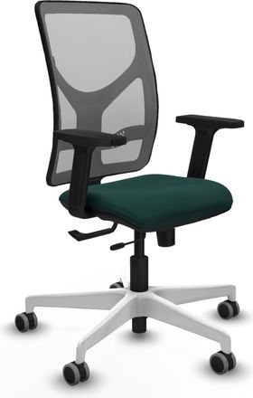 Piqueras y Crespo Schreibtischstuhl, Minzgr&uuml;n, mit 2D-Armlehnen, h&ouml;henverstellbare Lendenwirbelst&uuml;tze, ausgestattet mit Syncro/Traslack und Schneideschaum, Grau/Flasche