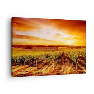 Arttor Bilder auf Leinwand Weinberg Aussicht Landschaft Leinwandbild 70x50cm Wandbilder Dekoration Wohnzimmer Schlafzimmer K&uuml;che Deko Klein Wanddeko Bild Wan