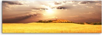 Paul Sinus Art Sinus Art Wandbild 150x50cm Landschaftsfotografie - Gold gelbes Weizenfeld im Sonnenschein auf Leinwand für Wohnzimmer, Büro, Schlafzimmer, Ferienwohn