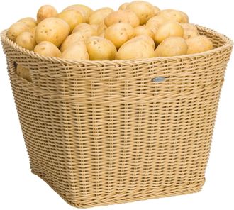 Westmark Saleen Mehrzweck-Korb mit seitlichen Grifföffnungen, Gastrotauglich, Quadratisch, 39 x 39 x 28,5 cm, Kunststofffaser, Hellbeige, 02061030101