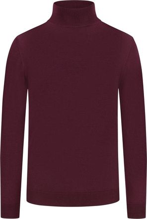 Daniele Fiesoli Pullover aus Merinwolle und Turtleneck in