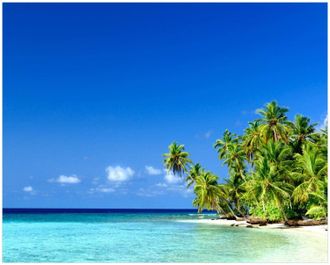 Wallario Poster - Blauer Himmel weißer Strand Palmen und das tiefblaue Meer in Premiumqualität, Größe: 40 x 50 cm