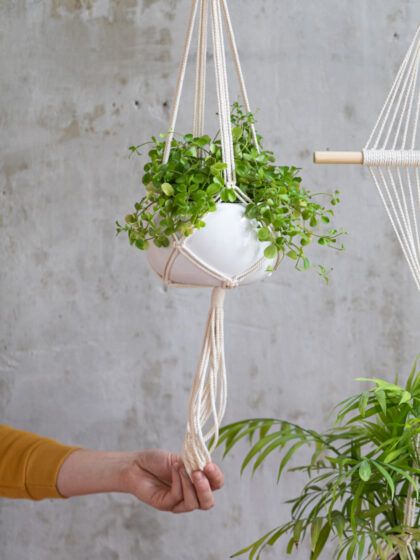 Makramee Blumenampel: Die einfachste Schritt-für-Schritt Anleitung