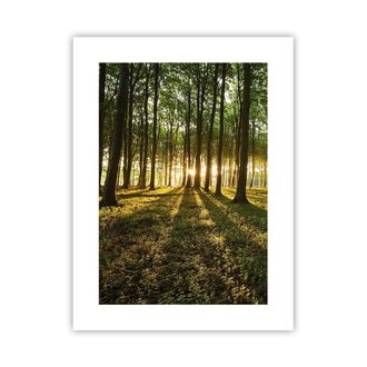 Arttor Poster ohne Rahmen Wald gr&uuml;n Sonnenstrahlen Natur Deko 30x40cm Wandposter Art Prints Wandbilder Dekoration Wohnzimmer Schlafzimmer K&uuml;che Wanddeko Bild